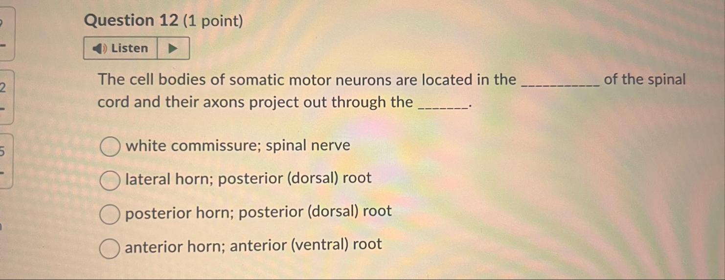 Solved Question 12 (1 ﻿point)The cell bodies of somatic | Chegg.com