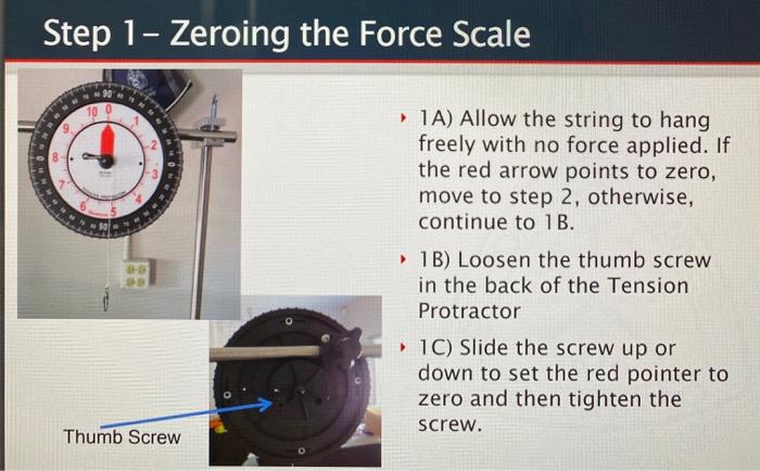 Solved Step 1 - Zeroing the Force Scale 2 1A) Allow the | Chegg.com