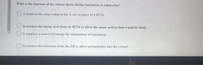 Solved What is the function of the release factor during | Chegg.com