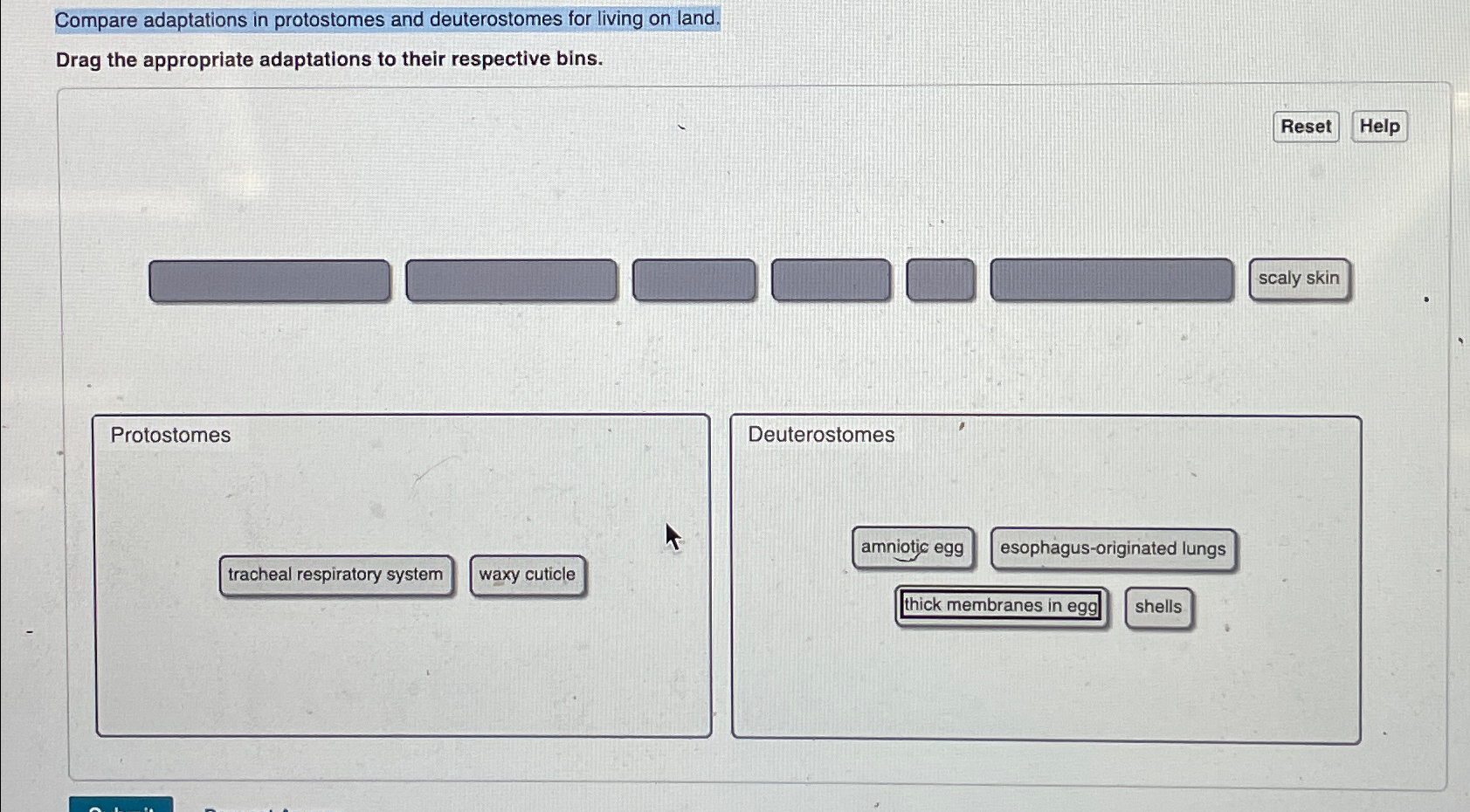 Solved Compare adaptations in protostomes and deuterostomes | Chegg.com