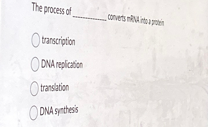 Solved The process of converts mRNA into a | Chegg.com