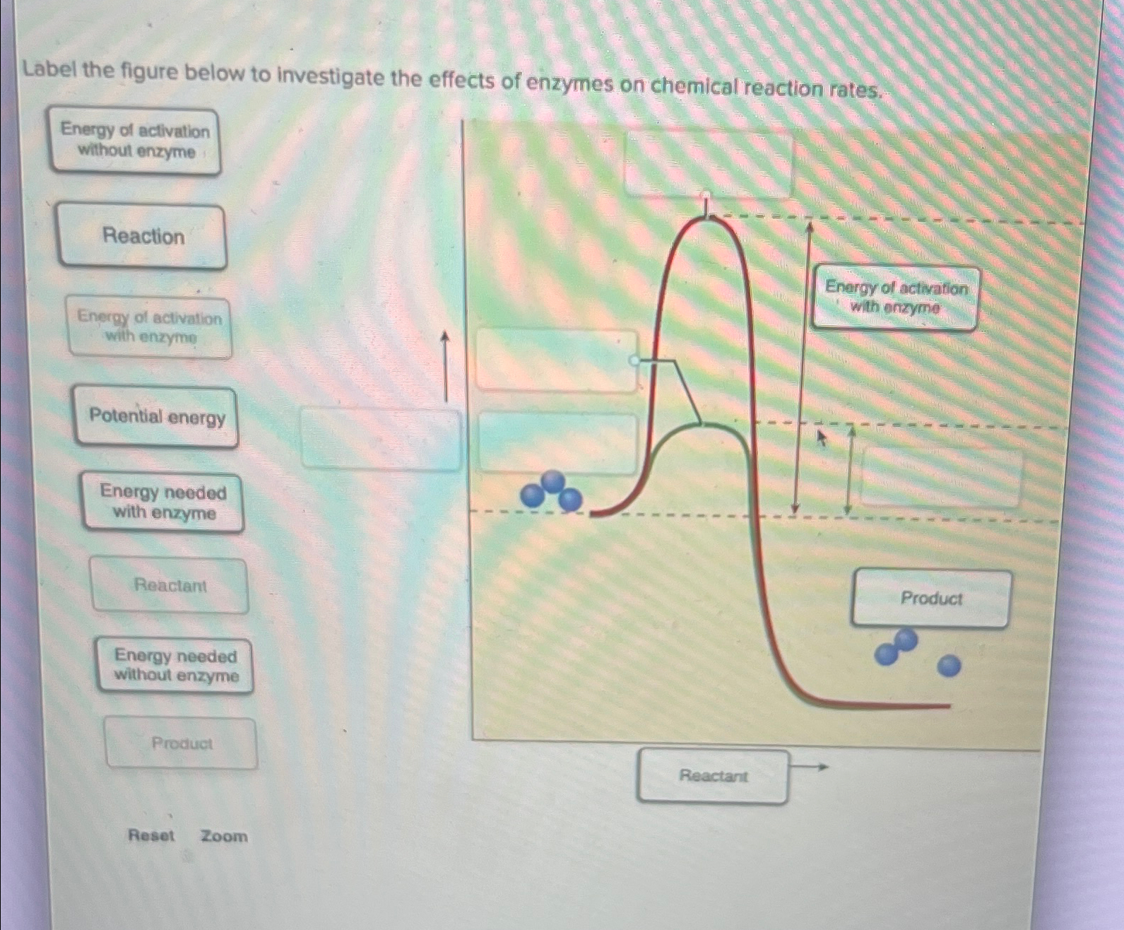 Label The Figure Below To Investigate The Effects Of