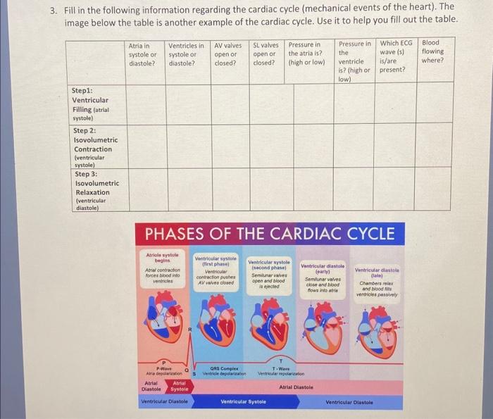 Solved 3. Fill in the following information regarding the | Chegg.com