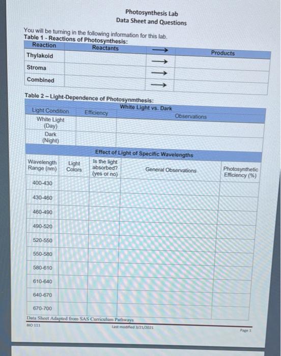 Solved Photosynthesis Lab Data Sheet and Questions You will | Chegg.com