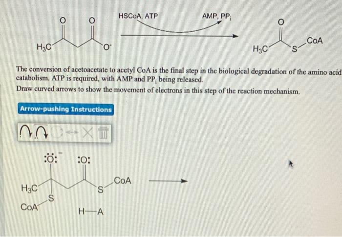 Solved What stereochemistry - antarafacial or suprafacial - | Chegg.com