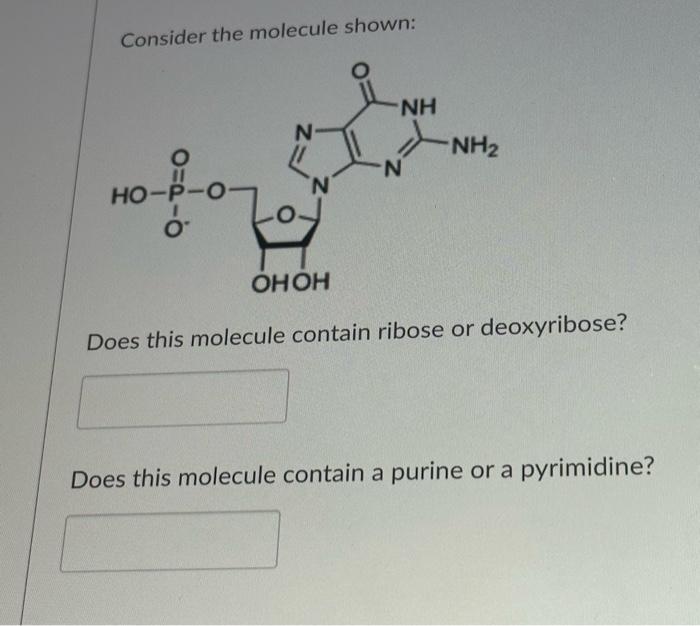 Solved Consider the molecule shown: Does this molecule | Chegg.com