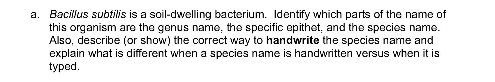 Solved Bacillus subtilis is a soil-dwelling bacterium. | Chegg.com