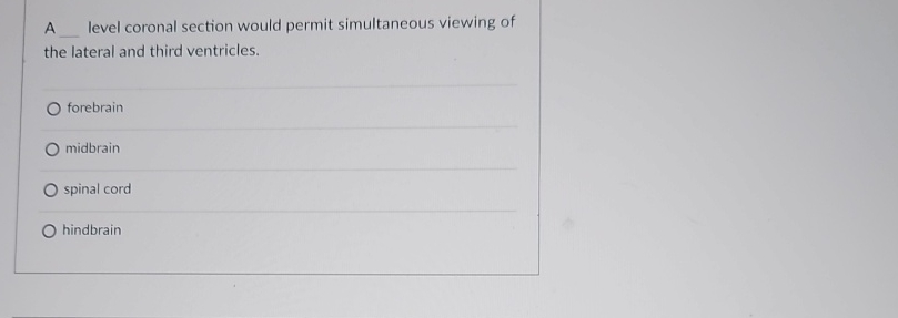 Solved A level coronal section would permit simultaneous | Chegg.com