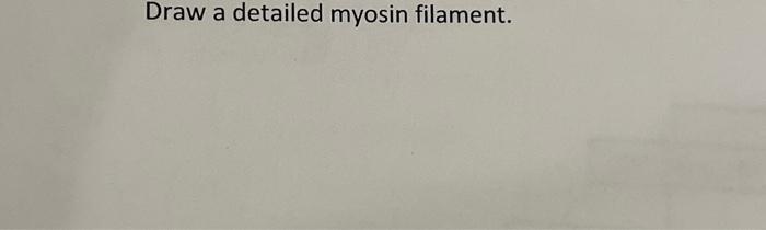 Solved Draw a detailed myosin filament. | Chegg.com