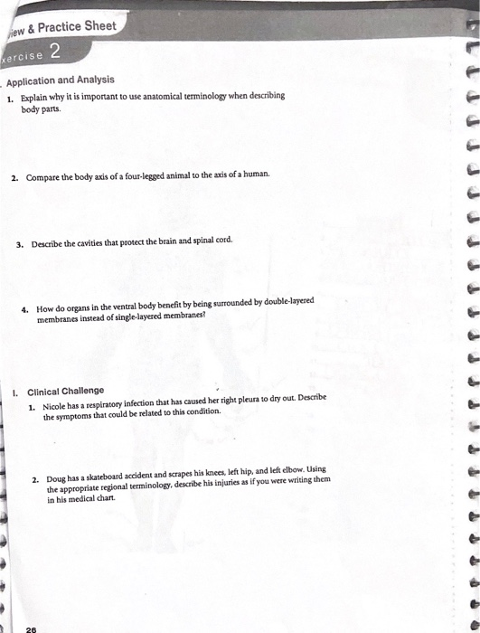 Solved Review & Practice Sheet Exercise 2 to the elbow 12. | Chegg.com