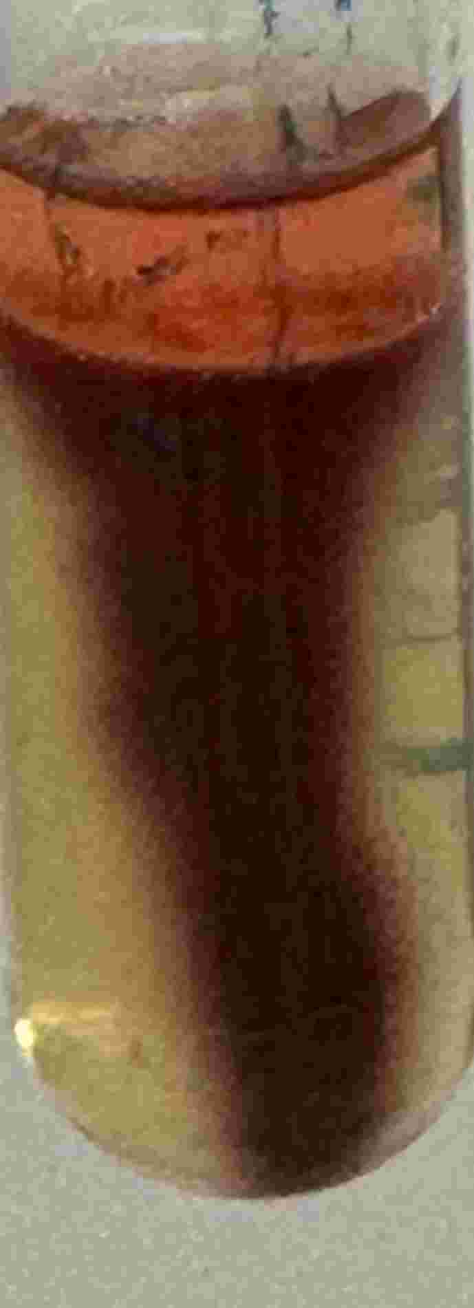 Solved Is this SIM tube positive for Hydrogen sulfide, | Chegg.com