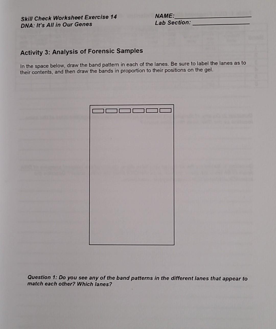 Solved Skill Check Worksheet Exercise 14 DNA: It's All in | Chegg.com