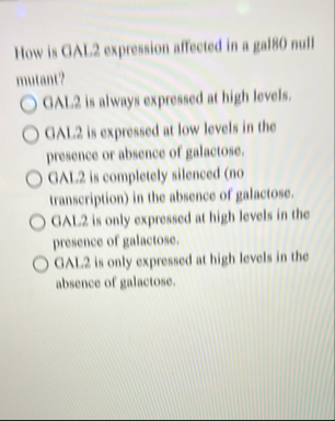 Solved How is GAL. 2 ﻿expression affected in a gal80 ﻿null | Chegg.com