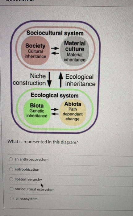 Sociocultural system Material Society culture | Chegg.com