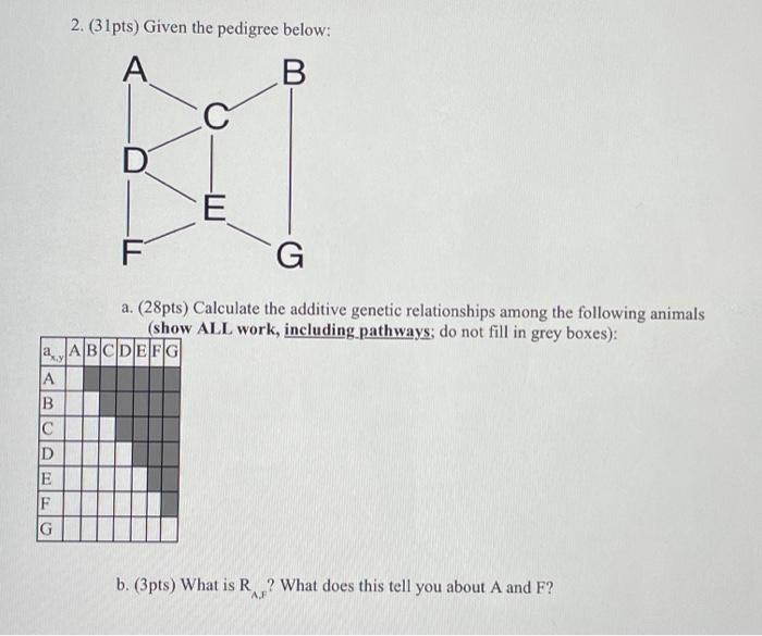 Solved 2. (31pts) Given the pedigree below: a. (28pts) | Chegg.com