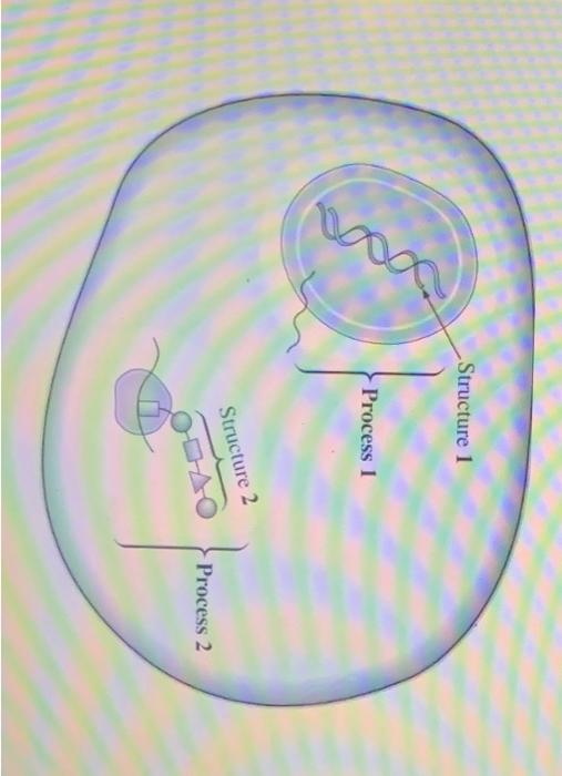 [Solved]: Structure 1 Process 1 Structure 2 Process 2 Whic