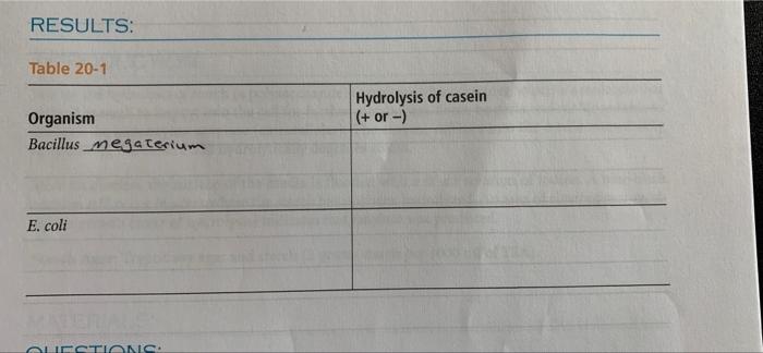 Solved RESULTS: Table 20-1 Hydrolysis of casein (+ or -) | Chegg.com