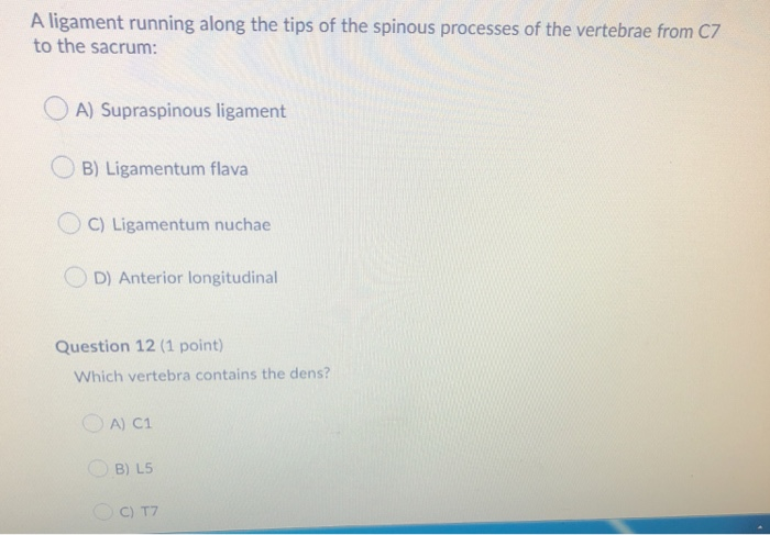 Solved The thoracic spinous processes of T2-T6 bifurcate. A) | Chegg.com