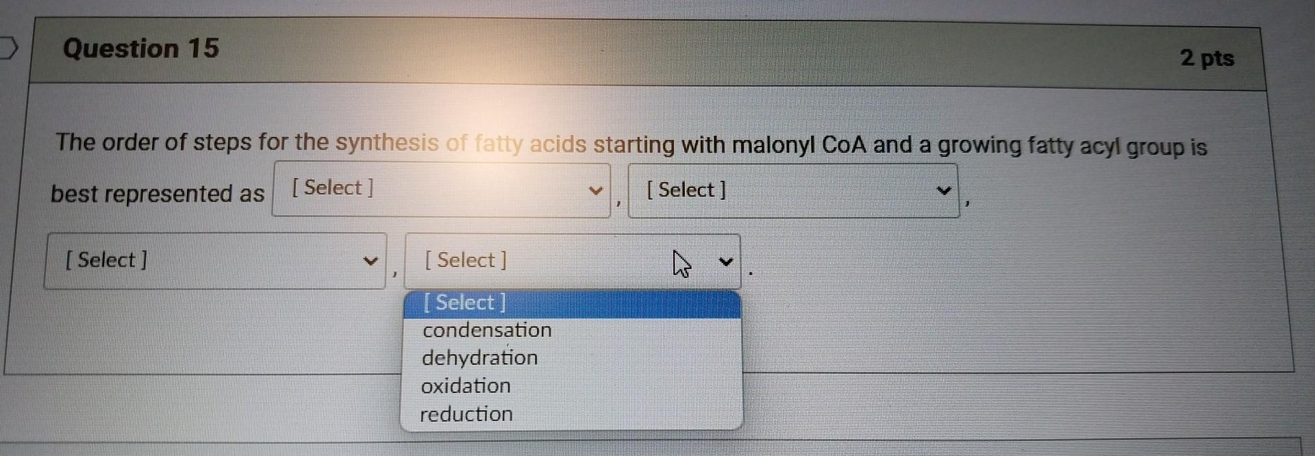 The order of steps for the synthesis of fatty acids | Chegg.com