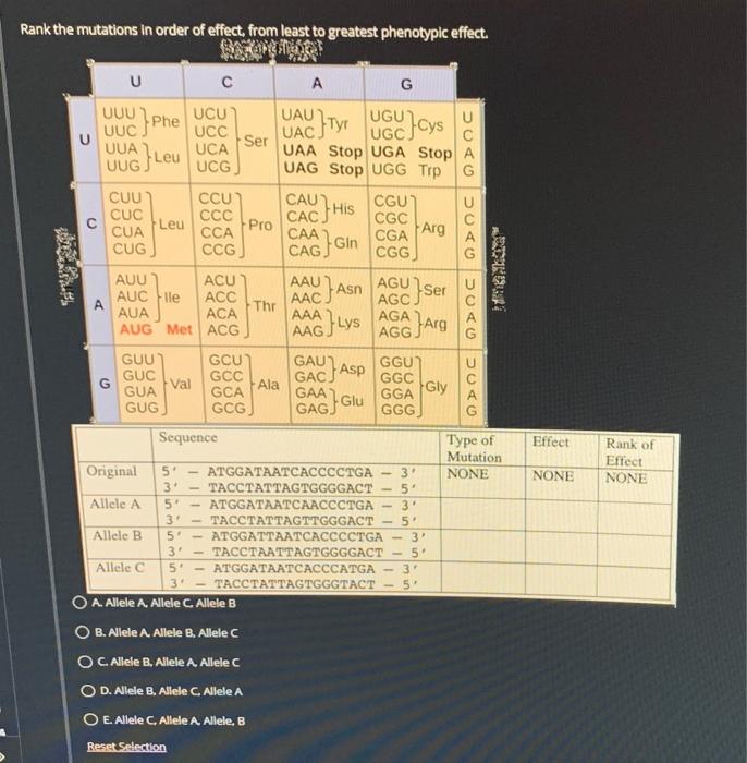 Solved Rank The Mutations In Order Of Effect From Least To