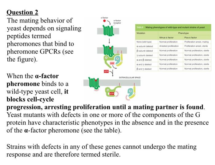 Solved Question 2 The mating behavior of yeast depends on | Chegg.com