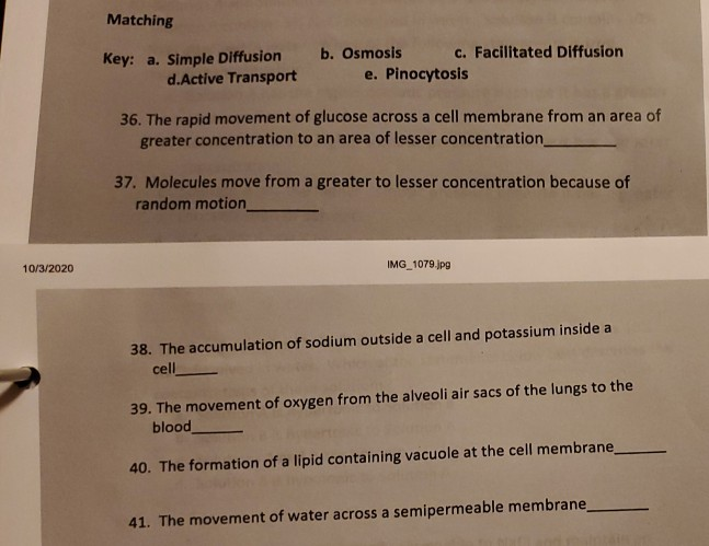 Solved Matching Key: a. Simple Diffusion d.Active Transport | Chegg.com