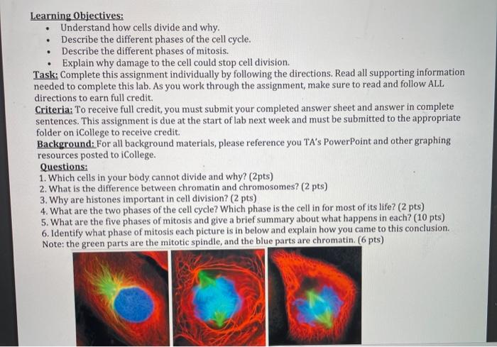 Solved Learning Objectives: Understand how cells divide and | Chegg.com