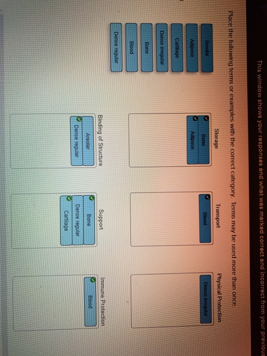 Solved This window shows your responses and what was marked | Chegg.com
