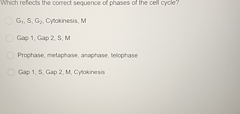 Solved Which reflects the correct sequence of phases of the | Chegg.com