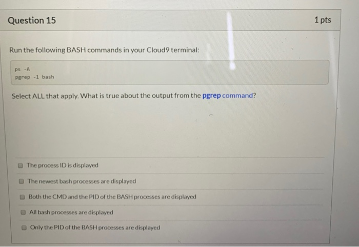 Solved Question 12 1 Pts Select All That Apply Which Bash 