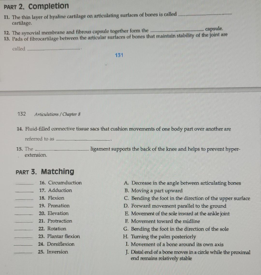 Solved Hemur Biceps femoris muscle Suprapatellar bursa | Chegg.com