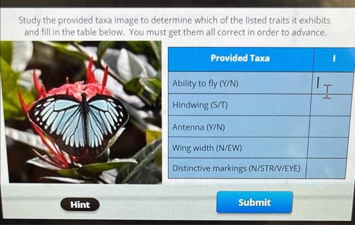 Solved Study the provided taxa image to determine which of | Chegg.com Solved Study the provided taxa image to determine which of | Chegg.com