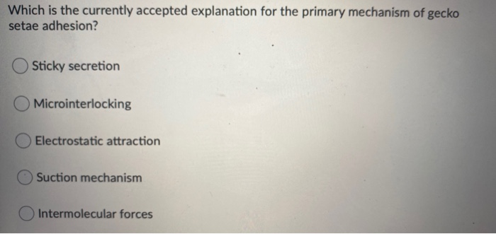 Solved Which is the currently accepted explanation for the | Chegg.com