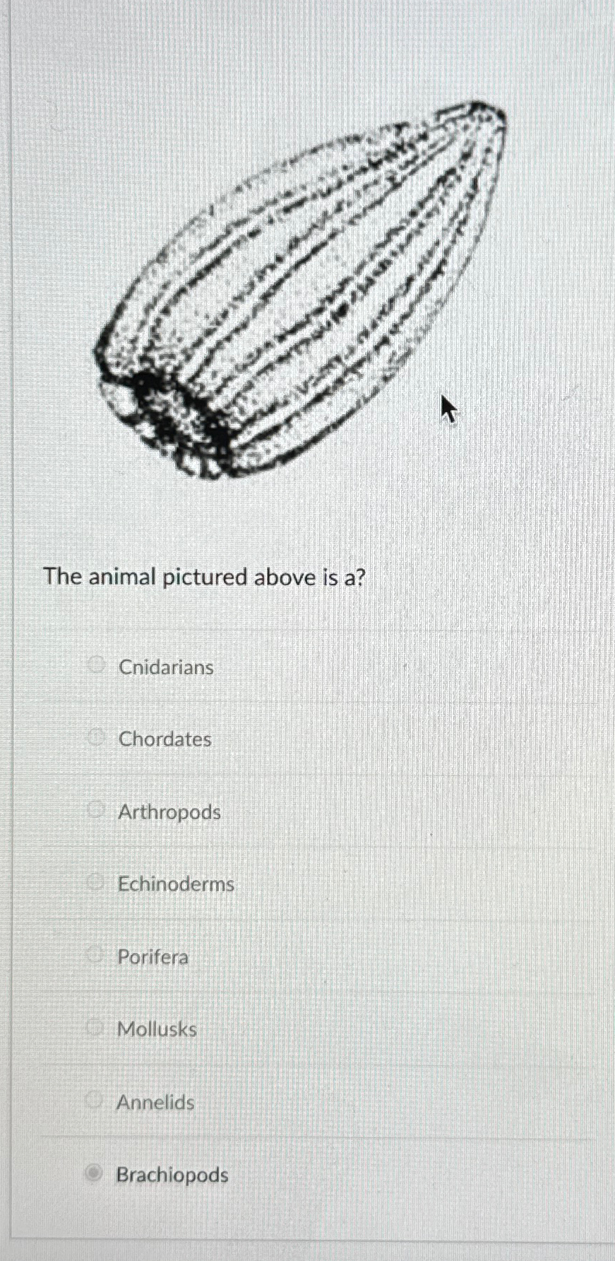 Solved The animal pictured above is | Chegg.com