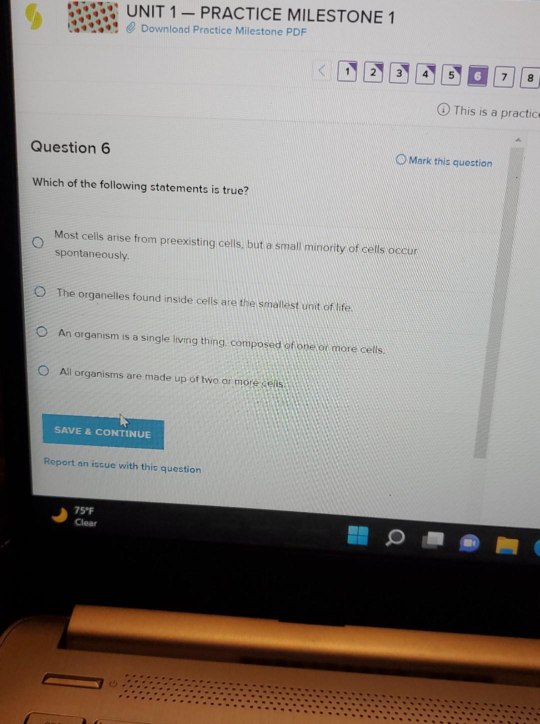 Solved UNIT 1 - PRACTICE MILESTONE 1 (0. Download Practice | Chegg.com