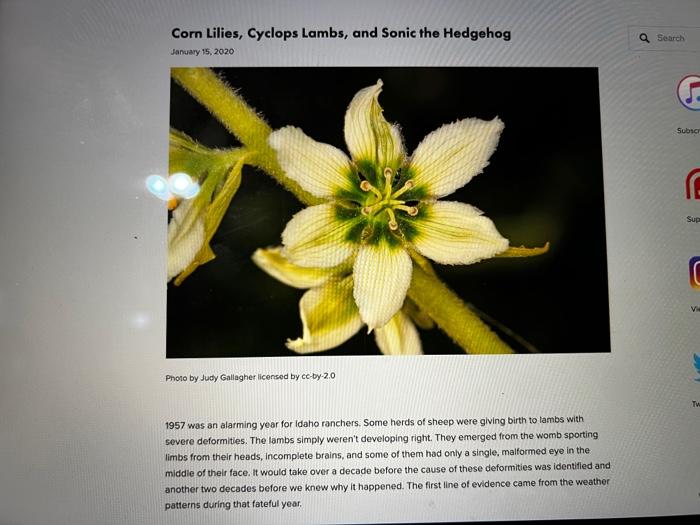 Solved Here is a reading on cyclops sheep. After you have | Chegg.com