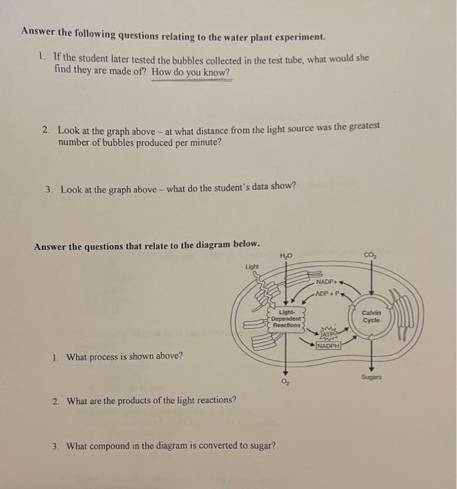Solved A student prepared 2 beakers with identical springs | Chegg.com