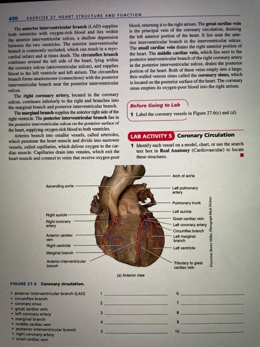 450 EXERCISE 27 HEART STRUCTURE AND FUNCTION blood, | Chegg.com