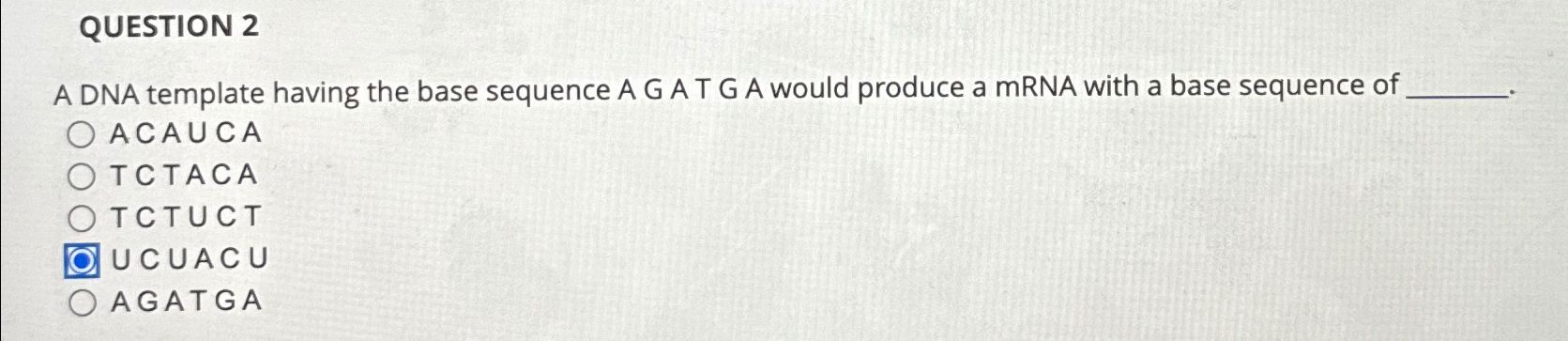 Solved QUESTION 2A DNA template having the base sequence A G | Chegg.com