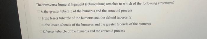 Solved The transverse humeral ligament (retinaculum) | Chegg.com