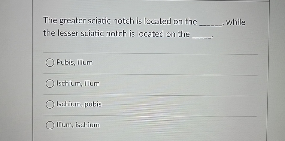 Solved The greater sciatic notch is located on the q, , | Chegg.com