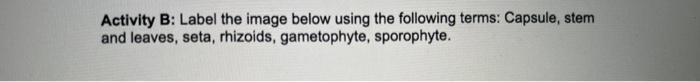 Solved Activity B: Label the image below using the | Chegg.com