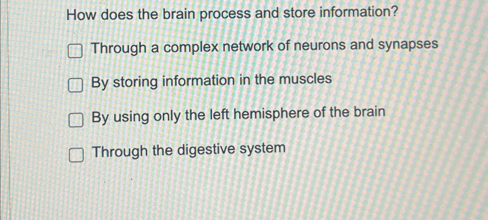 Solved How does the brain process and store | Chegg.com