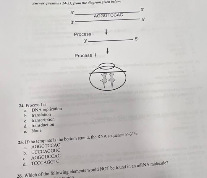 Solved Answer questions 24-25, from the diagram given below: | Chegg.com