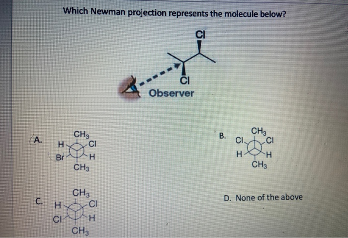 Solved Which Newman projection represents the molecule | Chegg.com