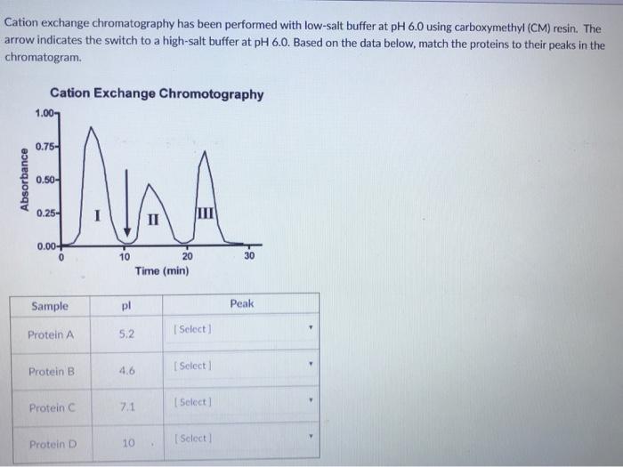 Solved Cation exchange chromatography has been performed | Chegg.com