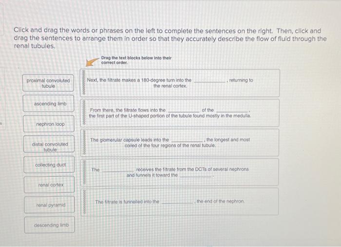 Solved Click and drag the words or phrases on the left to | Chegg.com