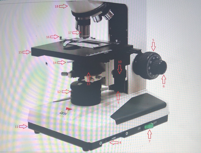 Solved Match the following parts of the microscope to the | Chegg.com