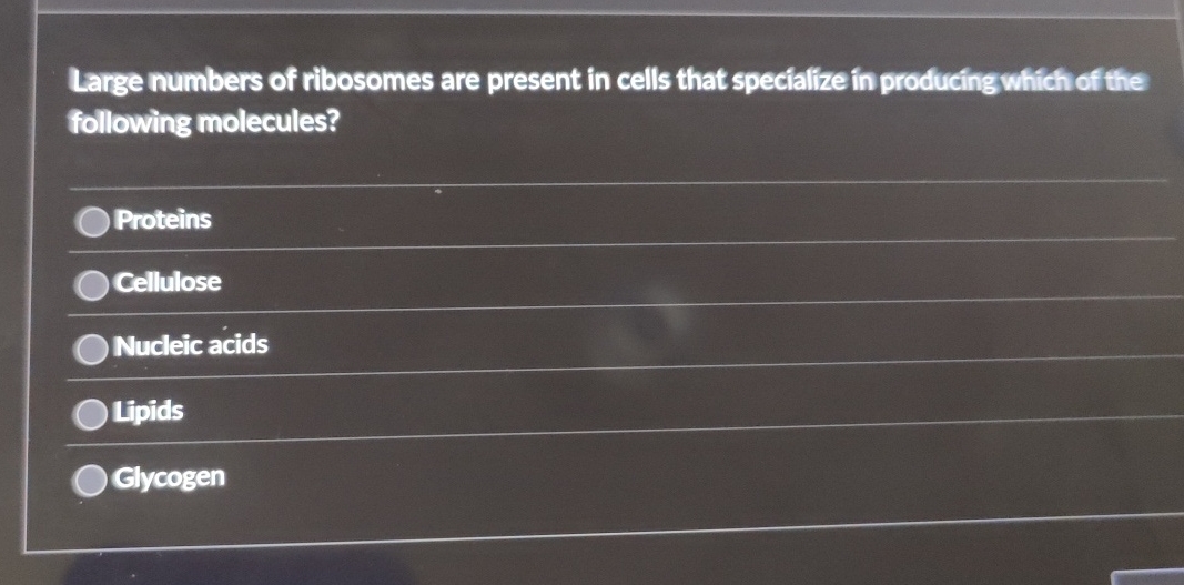 Solved Large numbers of ribosomes are present in cells that | Chegg.com