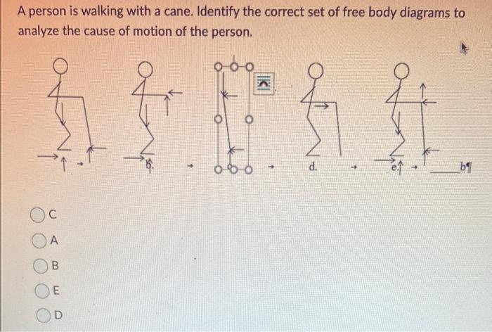 [Solved]: A person is walking with a cane. Identify the cor